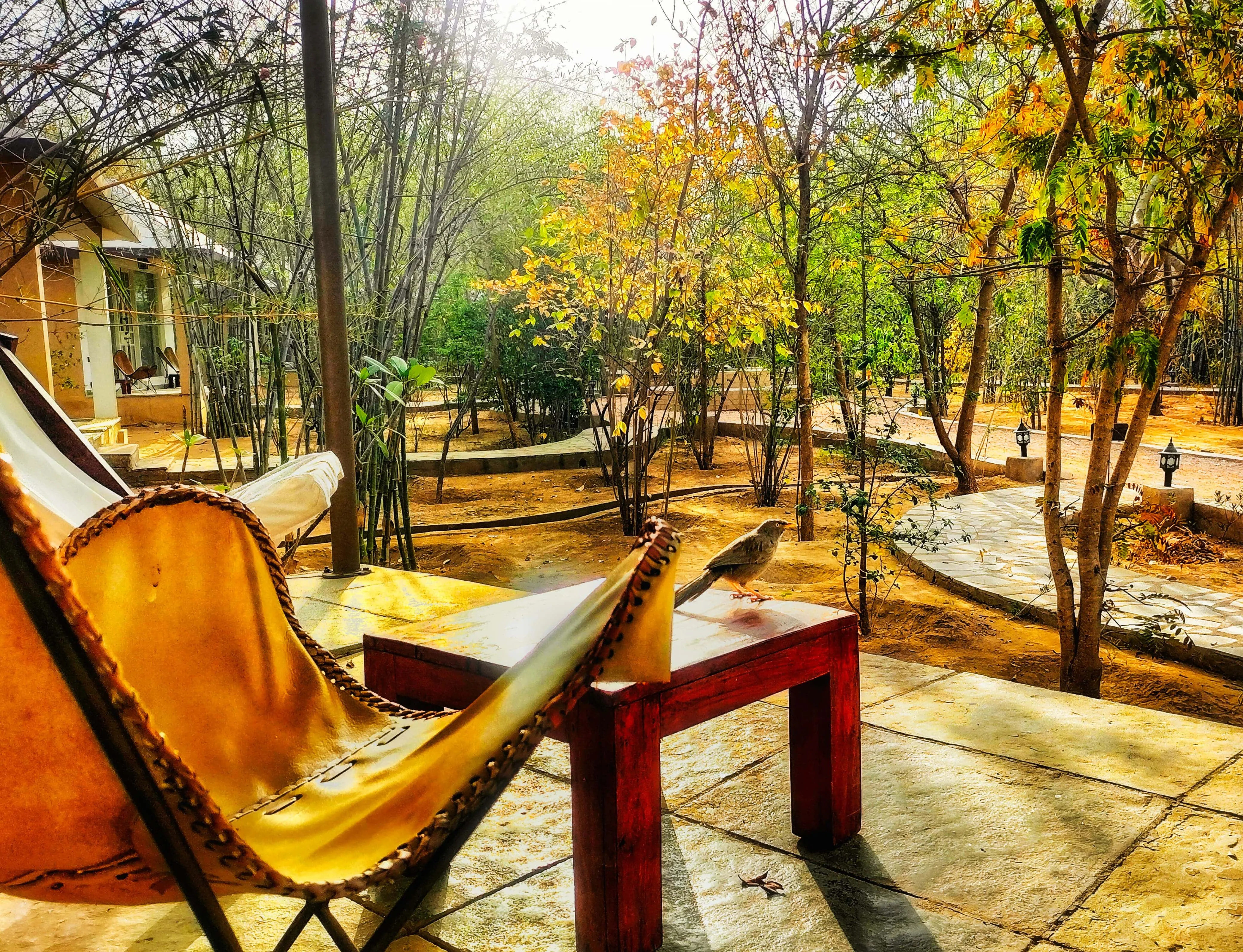 Vanaashrya Resort - Luxury Wildlife Resort in Sariska